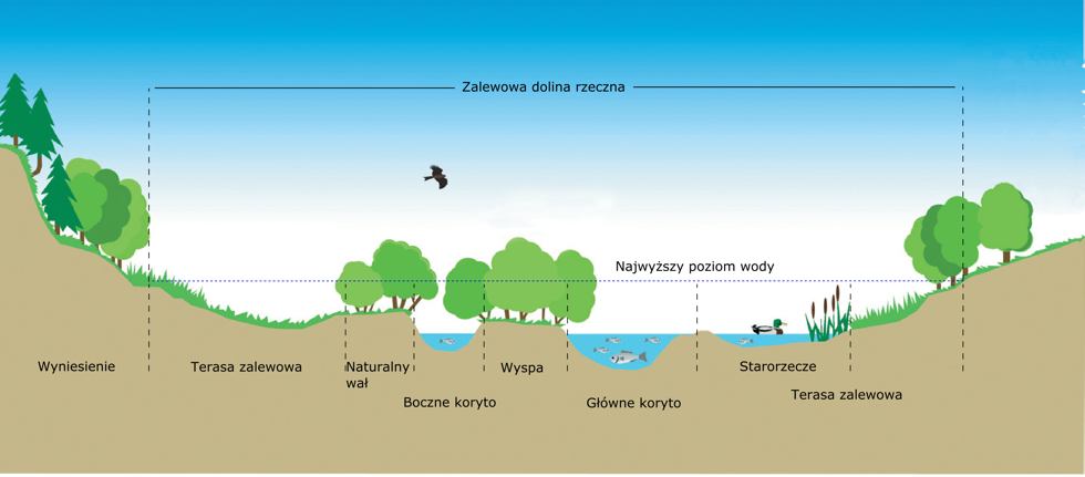Strażnicy rzek WWF » Artykuł: O rzece, czyli nie tylko o wodzie
